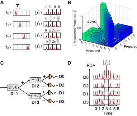 Functional Time Domain Diffuse Correlation Spectroscopy - Quantum Opus