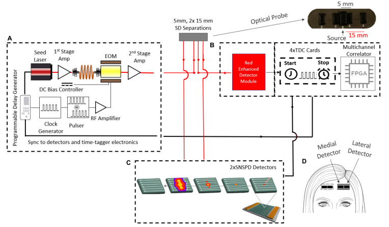 Functional Time Domain Diffuse Correlation Spectroscopy Quantum Opus